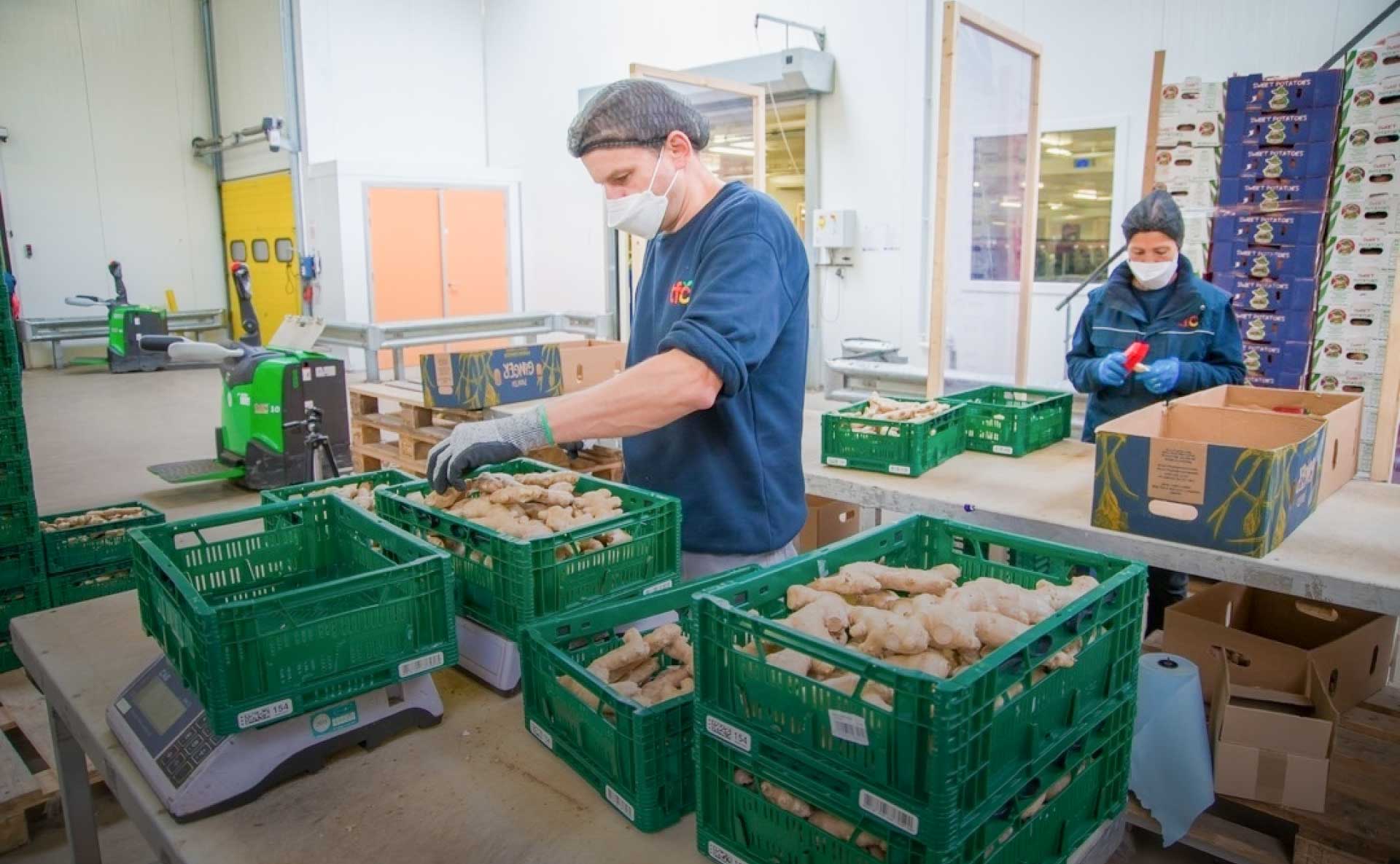 Customer solutions | Your experienced consultant! - TFC Holland